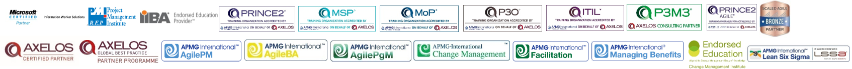 PRINCE2® Foundation and Practitioner Certificate Course - PM-Partners group