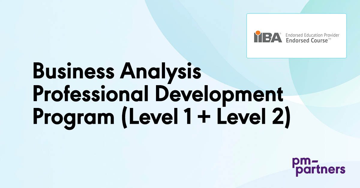 Business Analysis Professional Development course - PM Partners