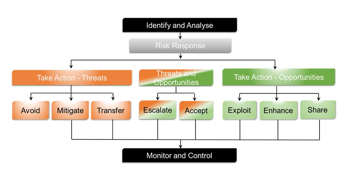 A PM’s guide to project risk management | PM-Partners