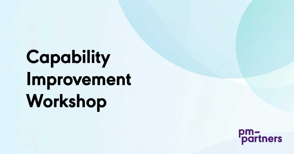 Organisational Capability Improvement Workshop (1/2 day)