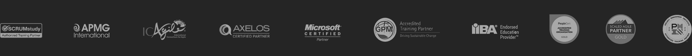 Project Management Consultants and Training | PM-Partners